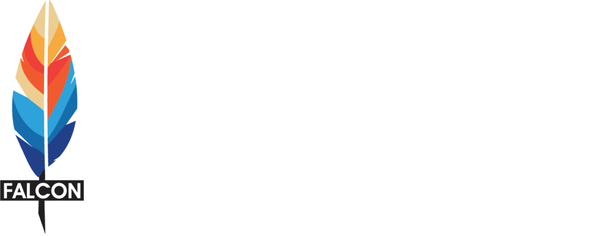 Best Education Consultant in Pakistan | Falcon Education